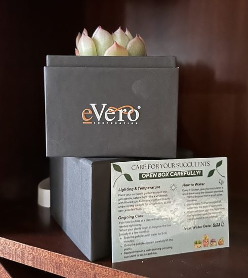 eVero's In-Person User Group Meetings - eVero Corporation